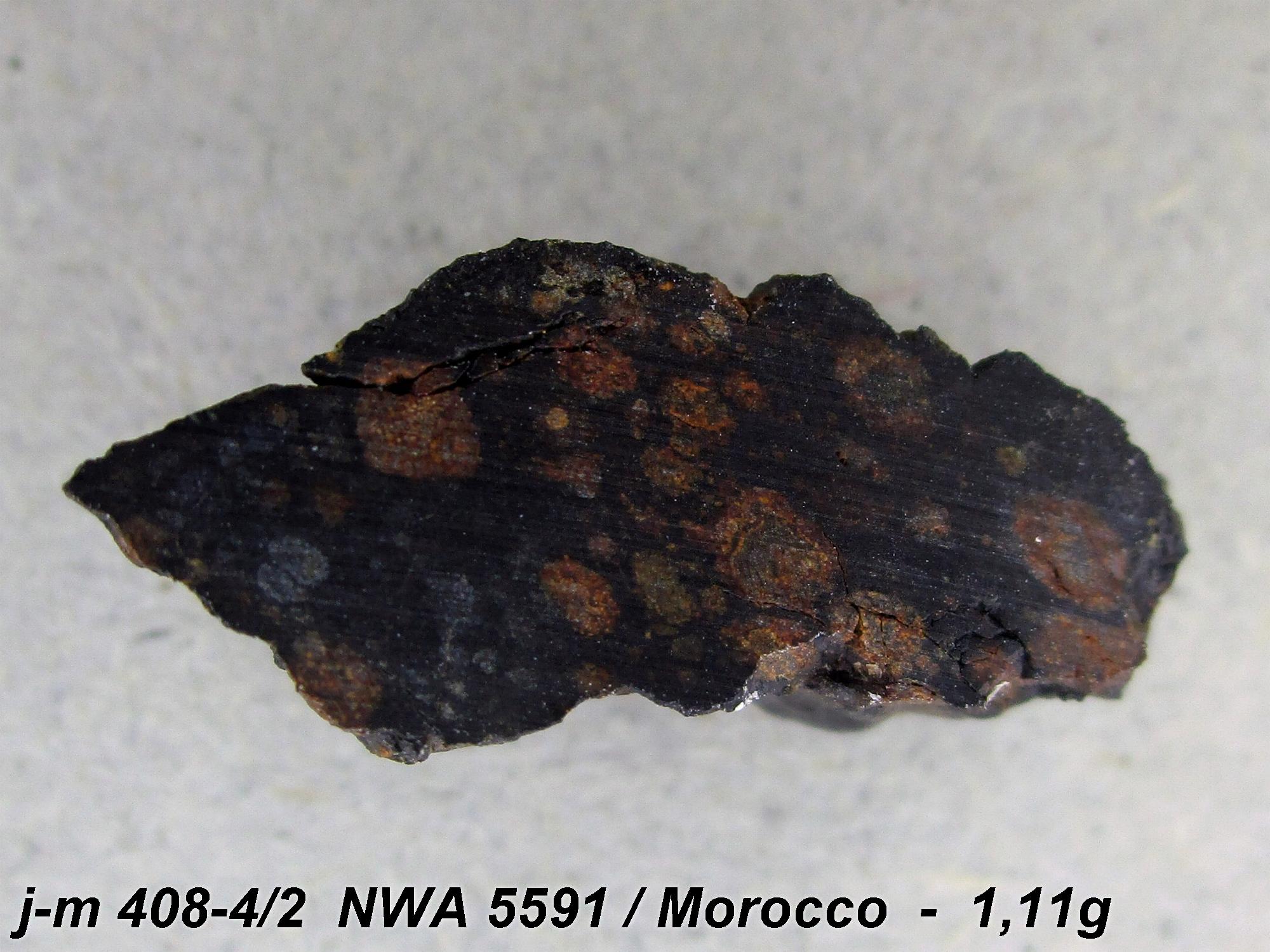 Meteorite - kohlige Chondrite